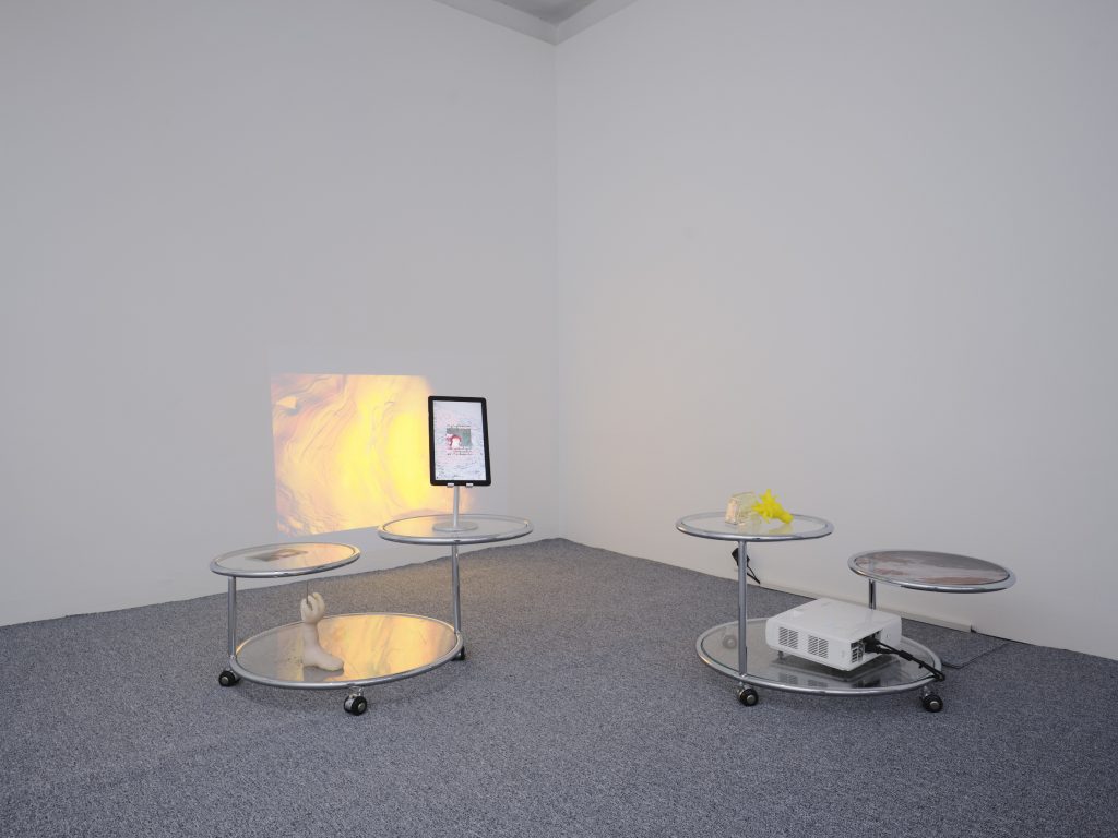 Sylbee Kim – Non-exploitative Art for the Sake of Continuation – Hyphen ...